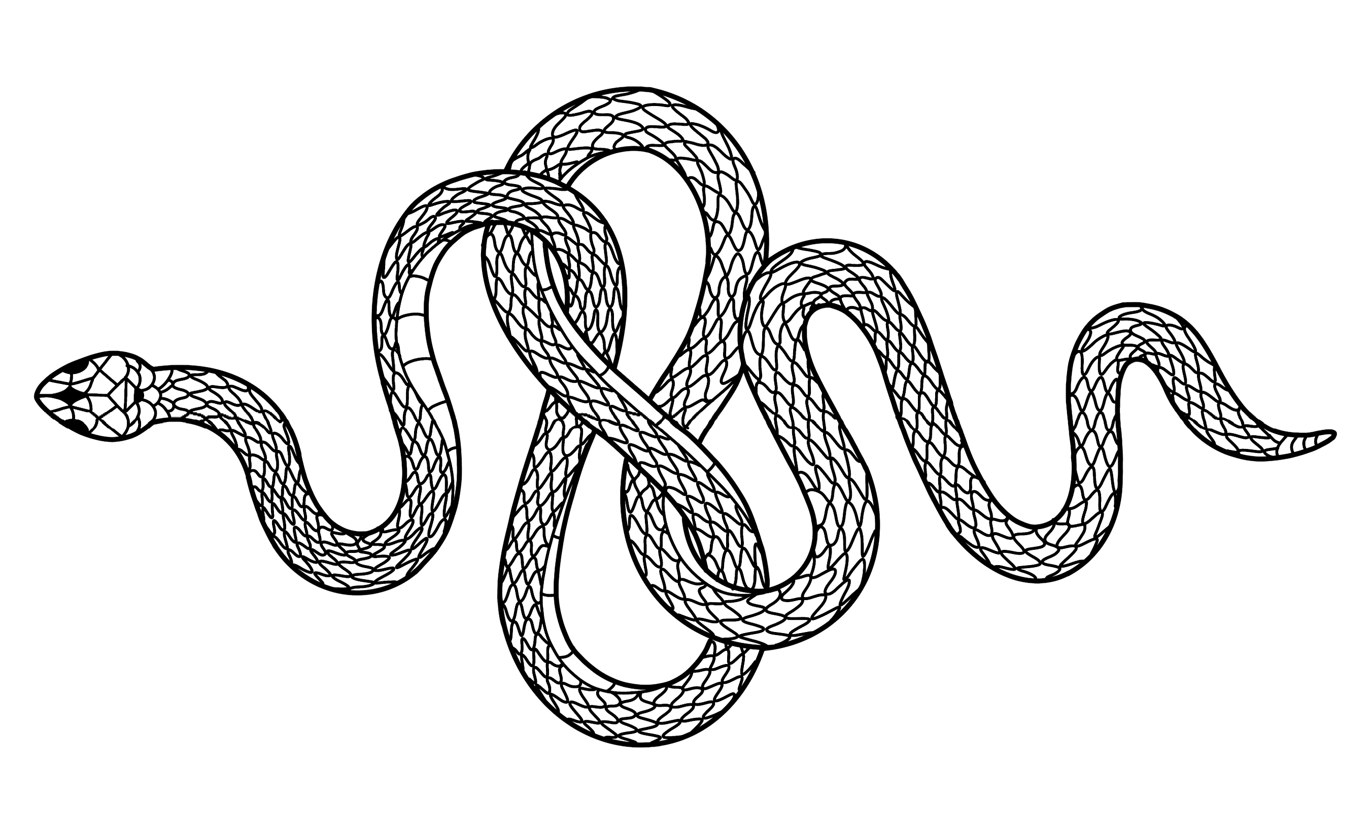 Eternal Serpent – INK DROPS